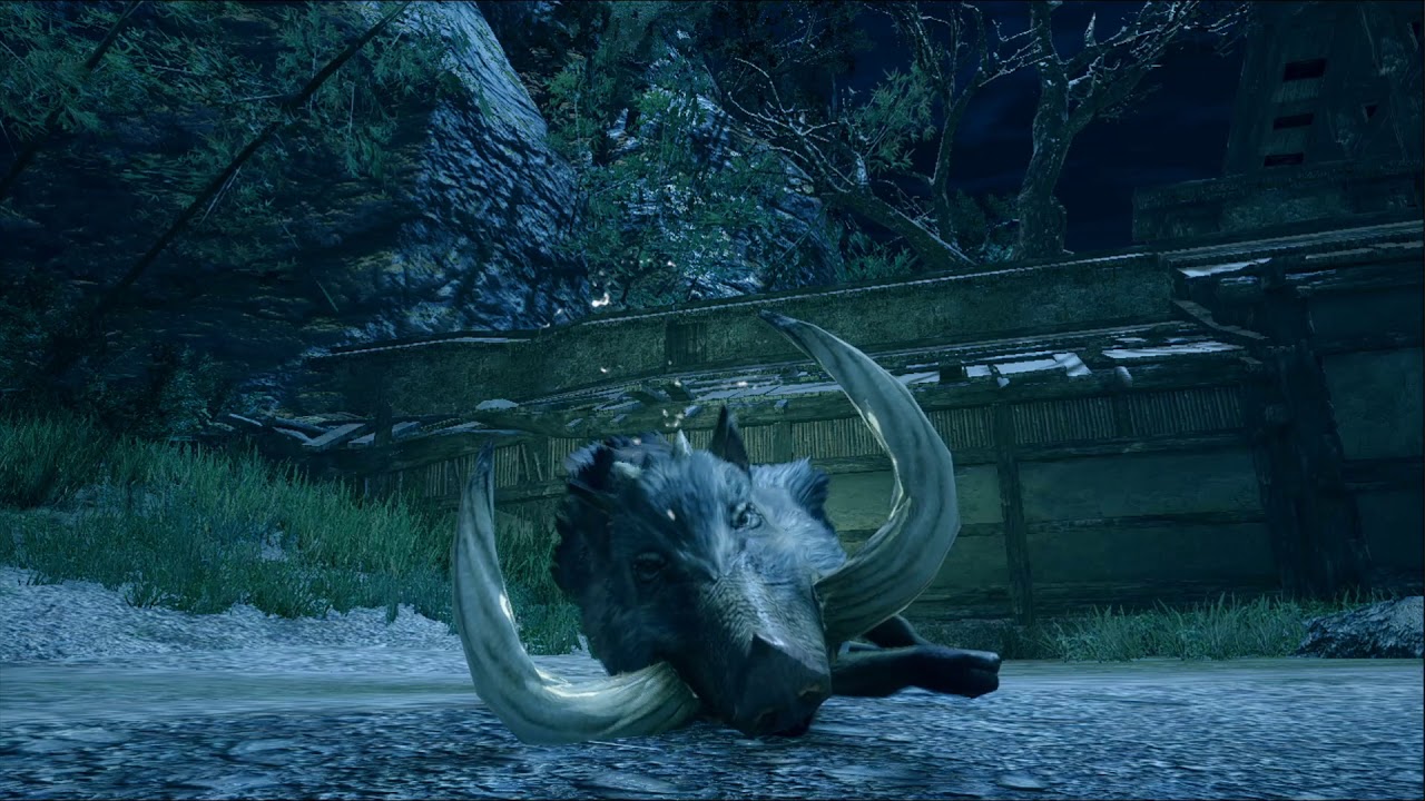 Monster Hunter Rise: Bullfango snoring & Strutting - YouTube