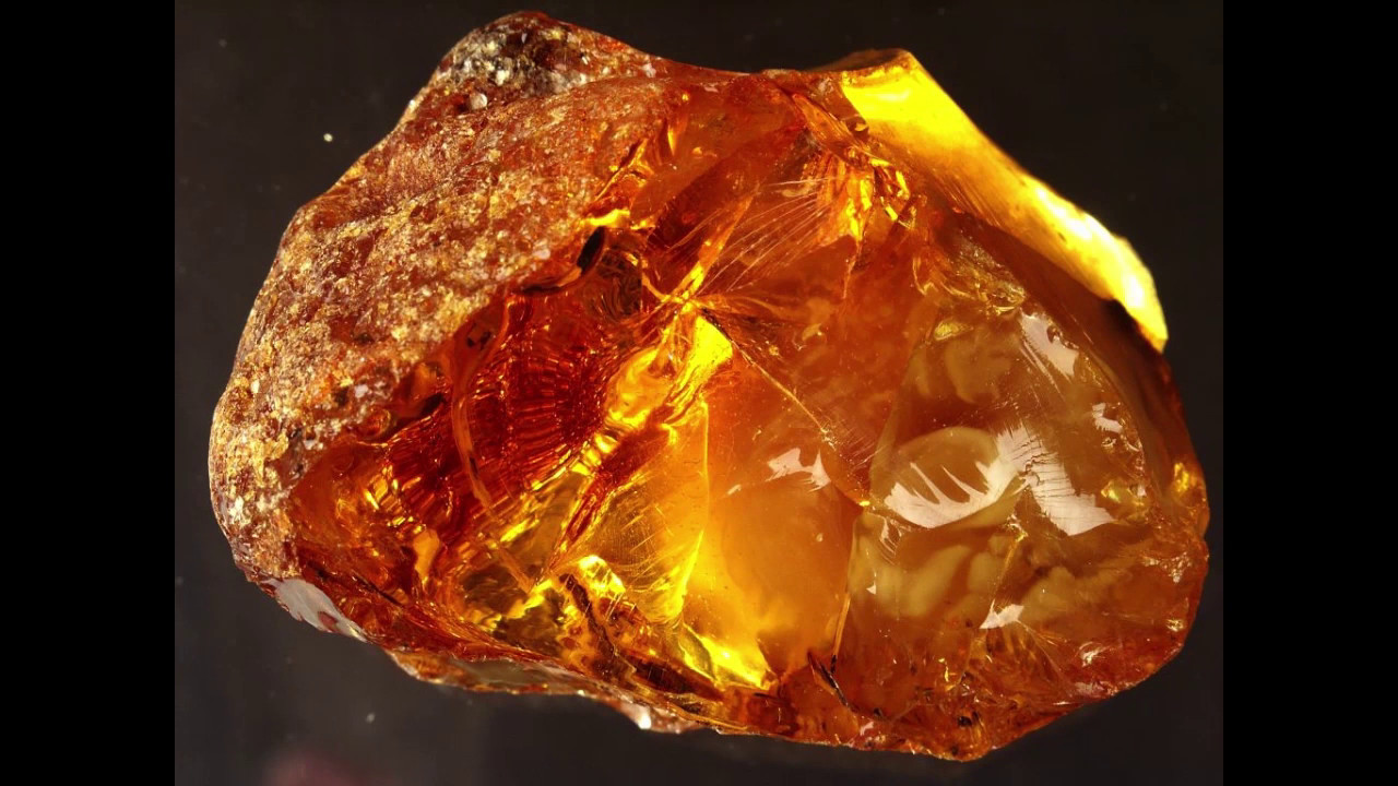 Amber: A Magical Time Capsule Of a Gemstone. - YouTube