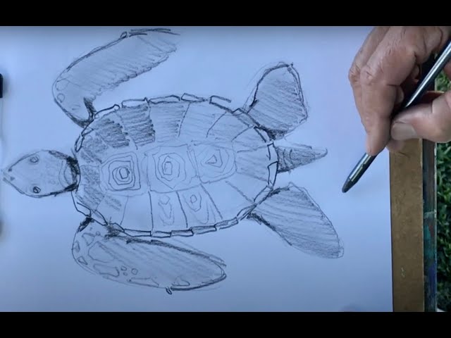 How To Draw A Hawaiian Turtle Step By Step
