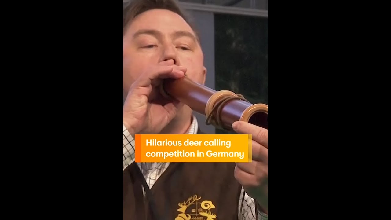 Hilarious Deer Calling Competition in Germany - YouTube