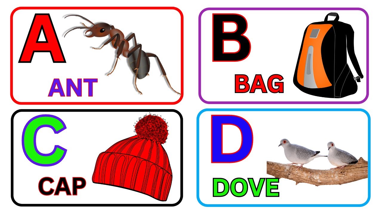 A for ant b for bag |abcd letter |phonic sound |rhymes |A to Z english ...