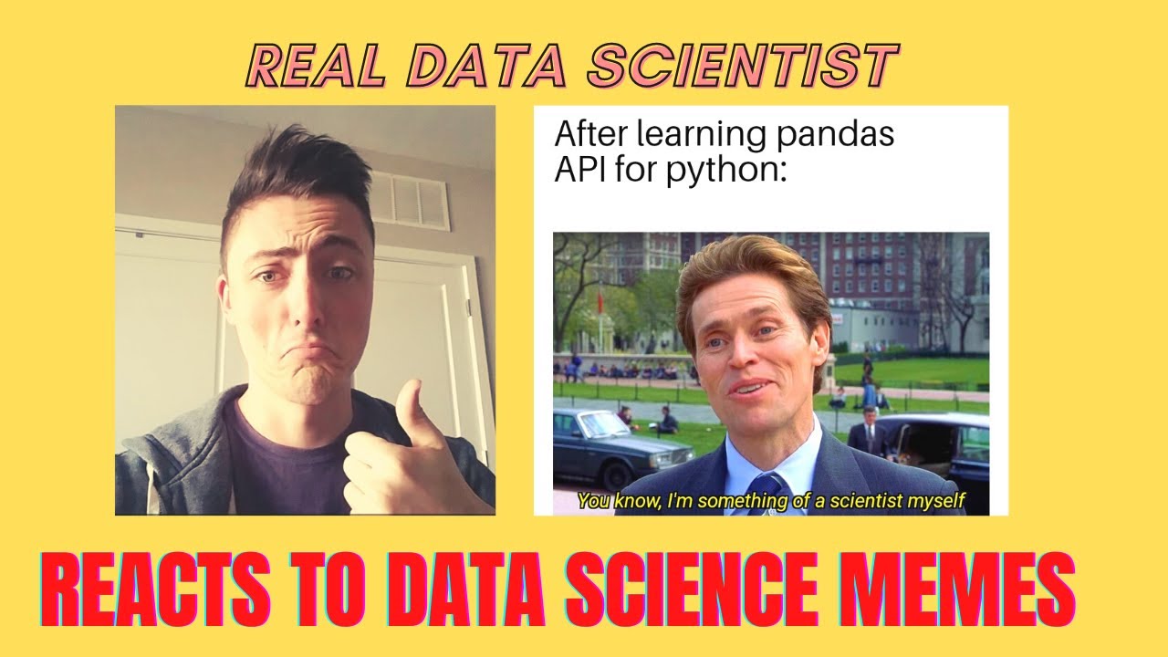 Real Data Scientist Reacts To Real Data Science Memes Youtube