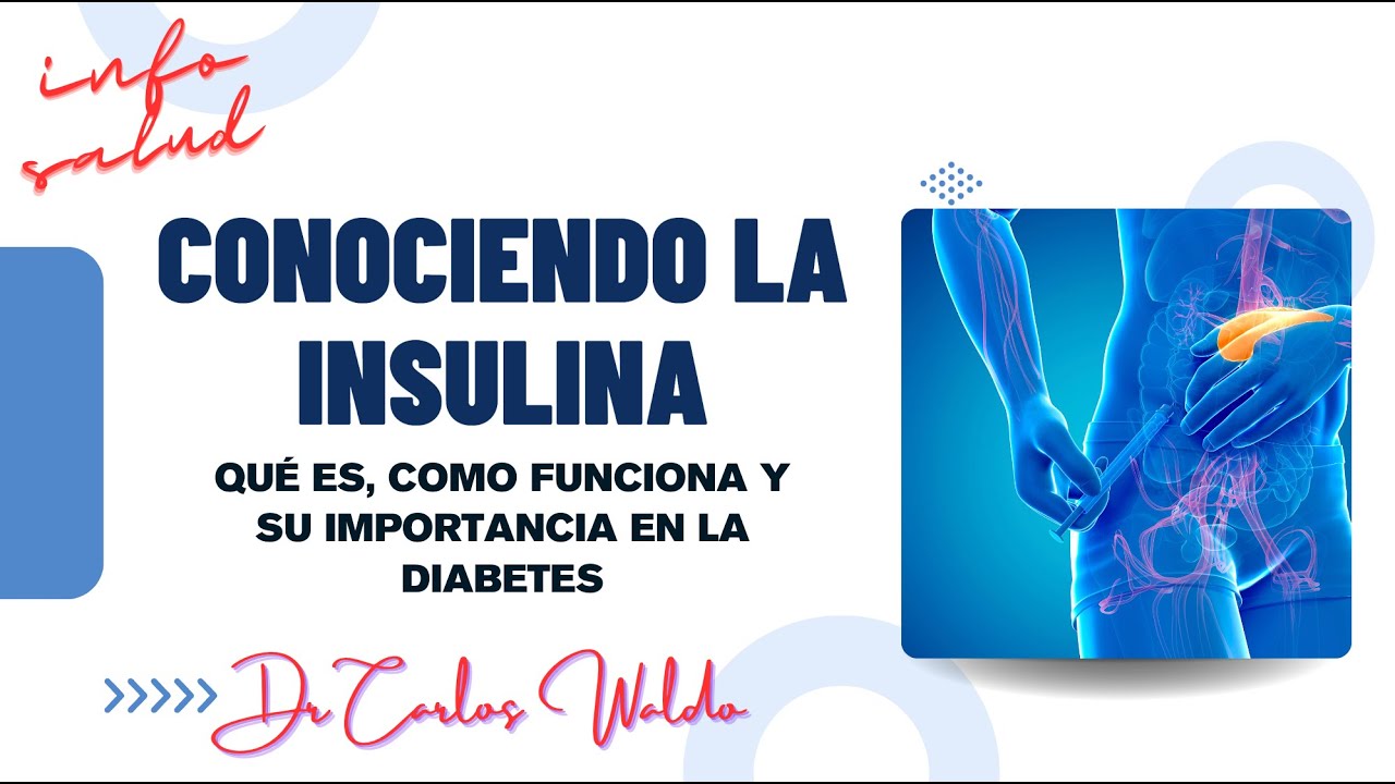 CONOCIENDO LA INSULINA Que es, como funciona y su importancia - YouTube