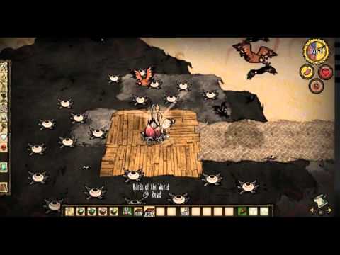 Morsel and Feather Farm with Lureplant / Birds of the World - YouTube