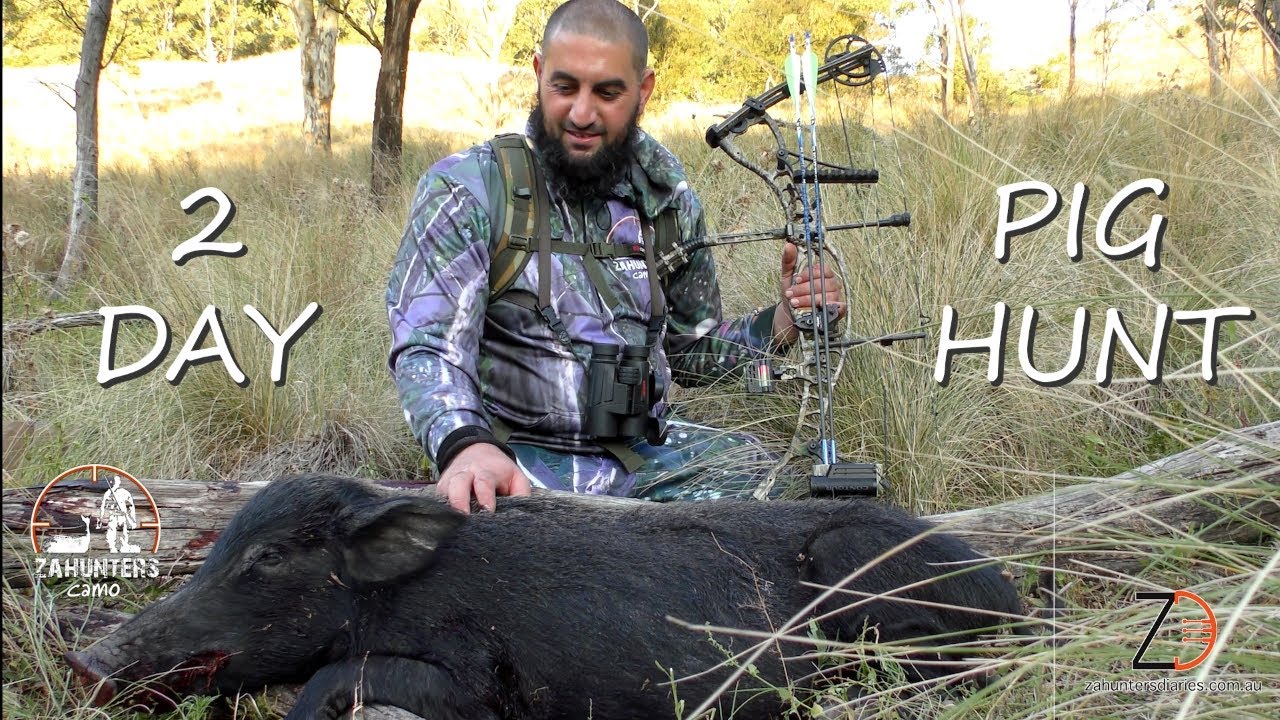 2 DAY PIG HUNT - BOWHUNTING HOGS - ZAHUNTERS DIARIES - 4K EPISODE - YouTube