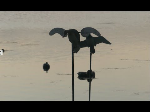 Molt Gear Ol Man River Duck Call Review - YouTube