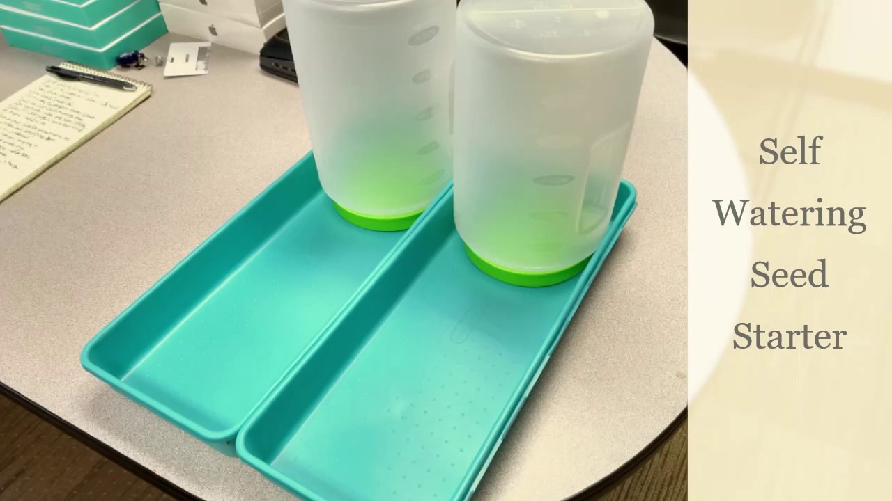 Self Watering Seed Starter Breakthrough with Results - YouTube