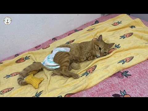 Yardım için ağlamadı... donuk bakışları, duyduğumuz en yüksek yalvarıştı.
