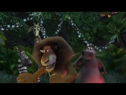 KÜÇÜK LEMUR AĞLIYOR - MADAGASKAR