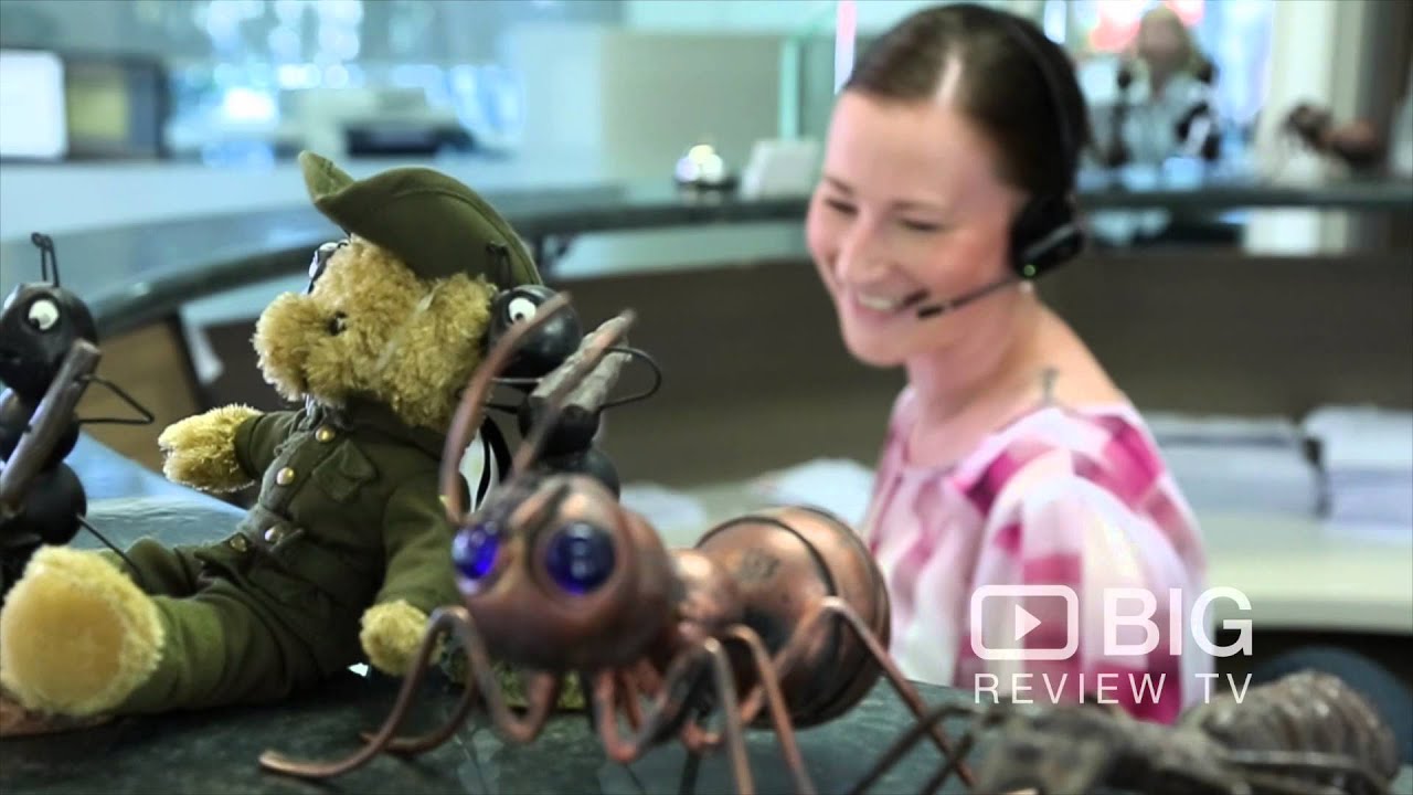 Termicide Pest Control in Brisbane offering Pest Control Services - YouTube