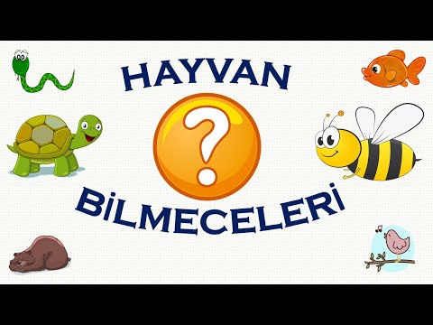 HAYVAN BİLMECELERİ