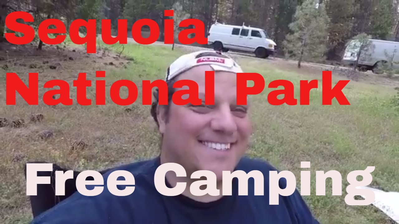 Van Life Free Camping In Sequoia National Park & Van Living Getting Set ...