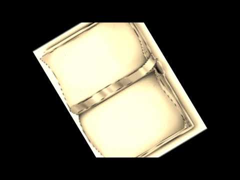 A Birthday Present by Sylvia Plath--Interpretation by L. Harrison - YouTube