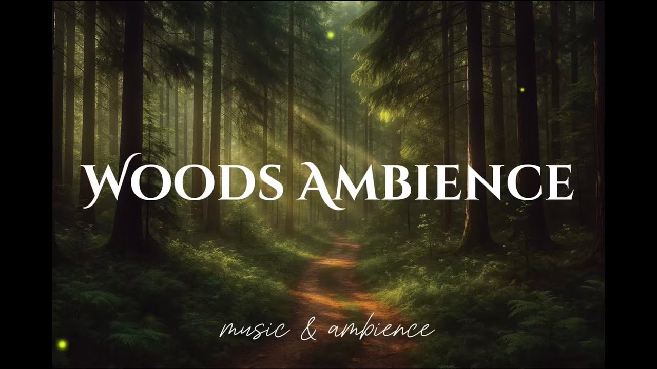 Woods Ambience 🍃 | Music & Ambience (1 HOUR) - YouTube