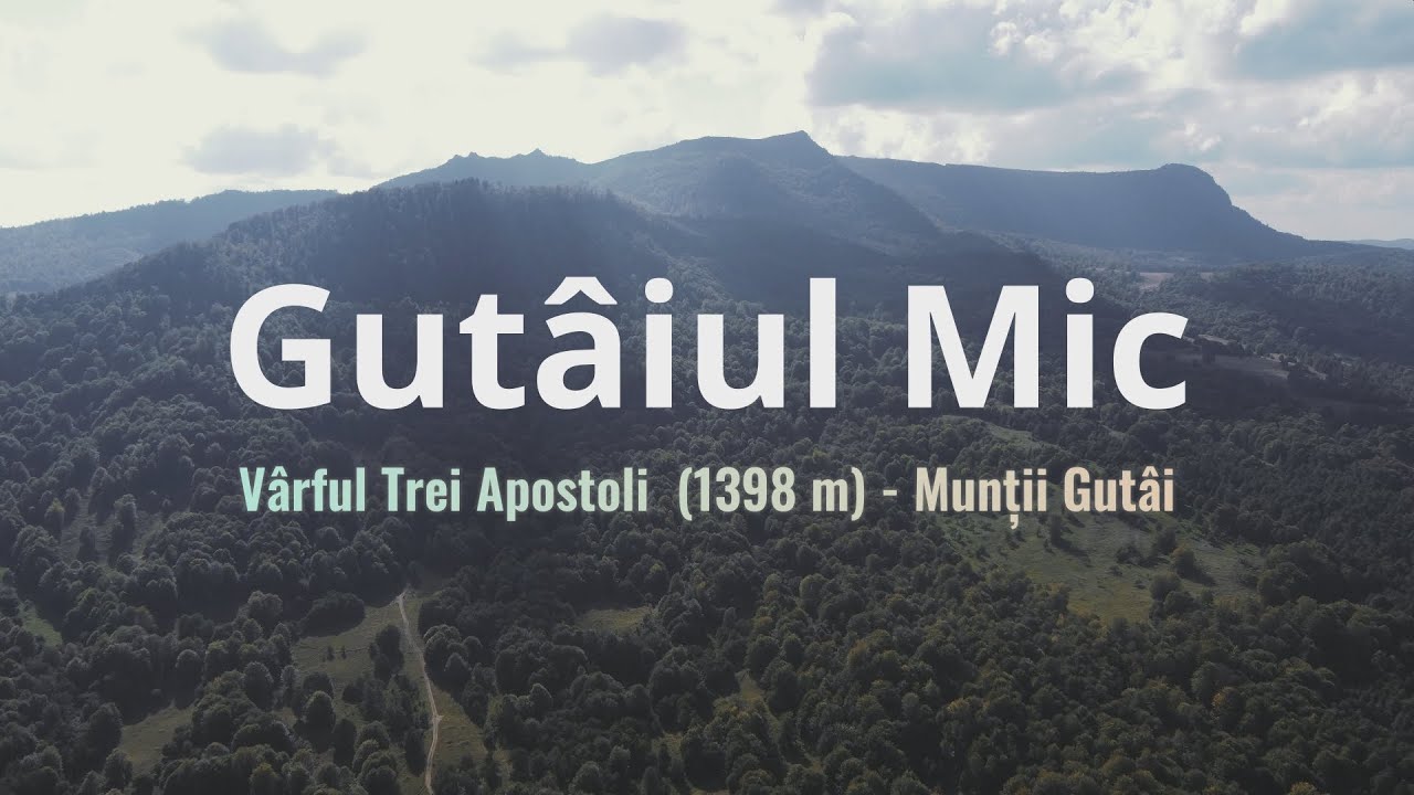 Gutâiul Mic - Vârful Trei Apostoli - Munții Gutâi - Maramures - Vedere ...