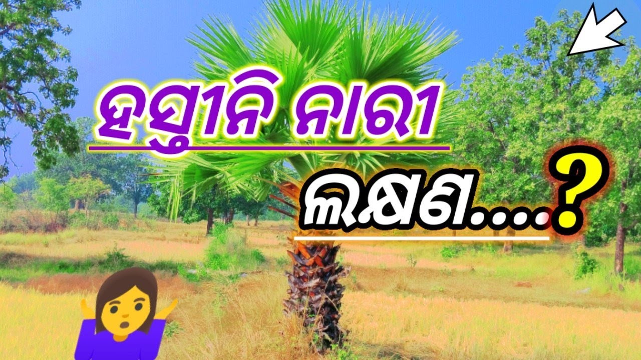 ହସ୍ତୀନି ନାରୀ ଲକ୍ଷଣ....?#sibubhaiodiavideo/hastini nari lakhyana video ...