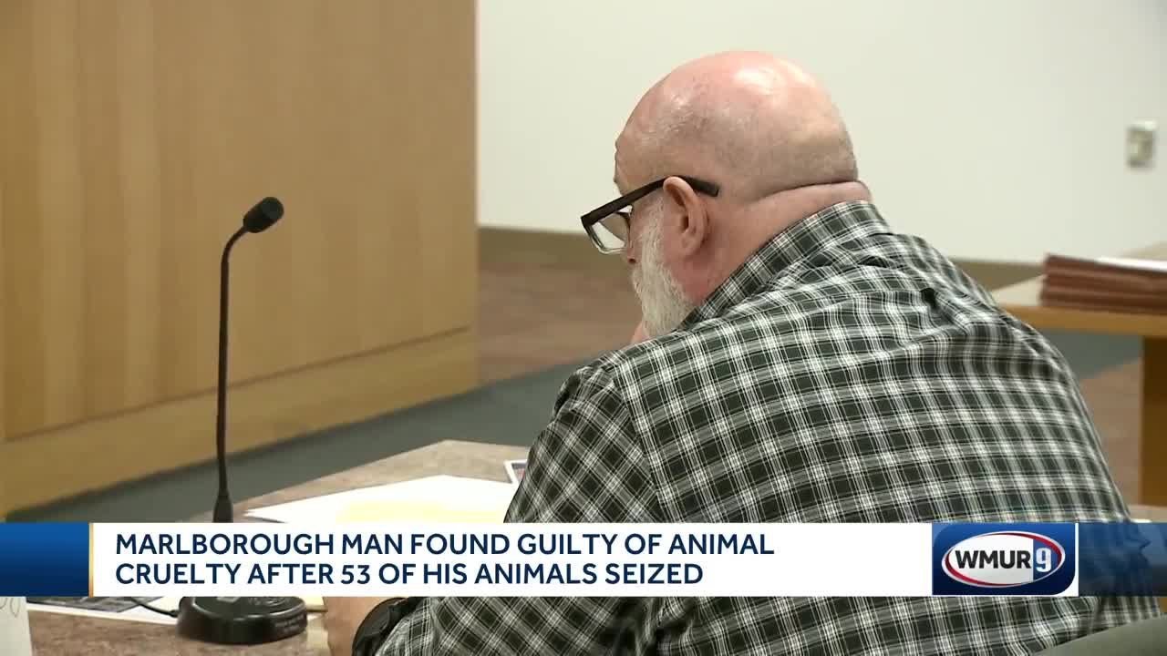 Marlborough man found guilty of animal cruelty - YouTube