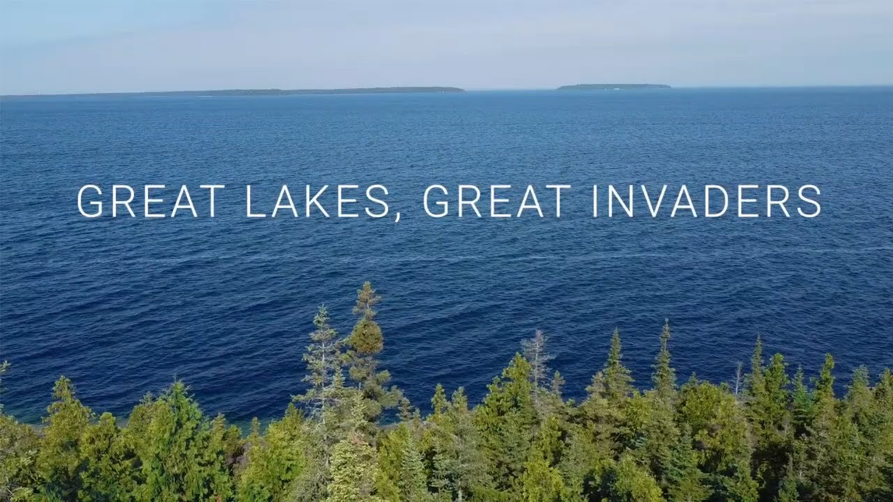 Great Lakes, Great Invaders - YouTube