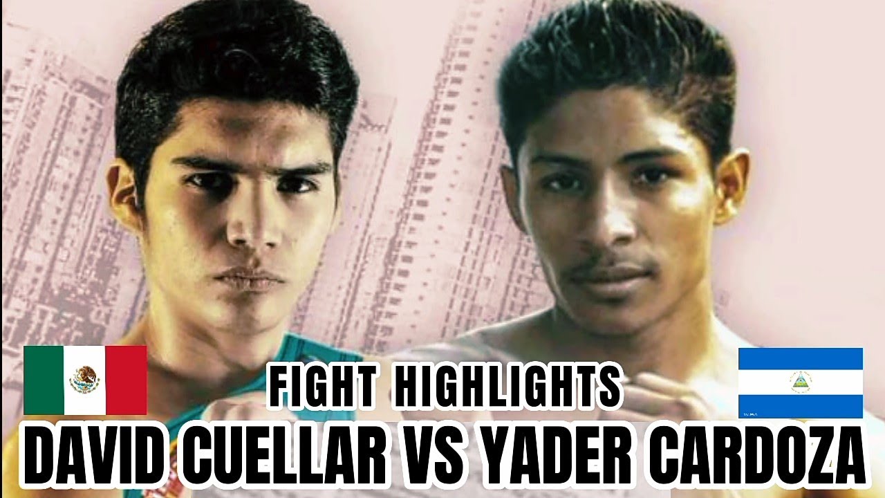 DAVID CUELLAR VS YADER CARDOZA HIGHLIGHTS / BOXING - YouTube