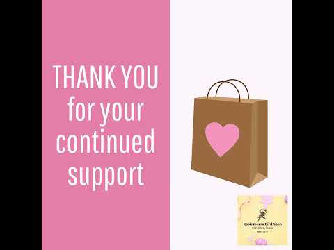 THANK YOU for your continued support - YouTube