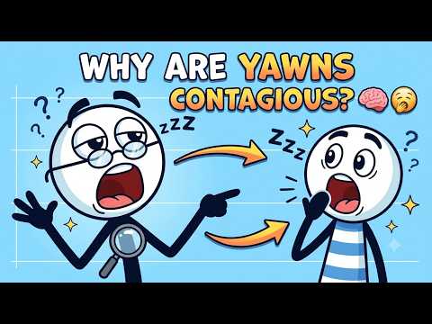 Is Yawning Contagious?! 🧠