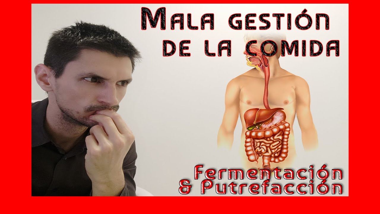 Putrefacción. fermentación y comida real - YouTube