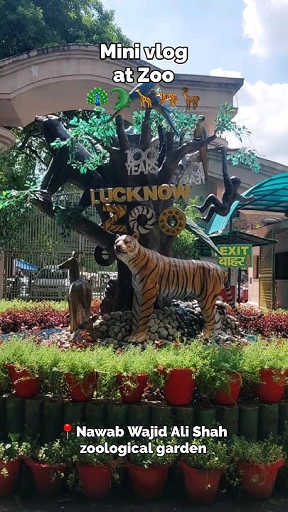 Zoo mini vlog 🐅🦒🦓 ️ #shorts #zoo #minivlog #cuteanimals #animals - YouTube