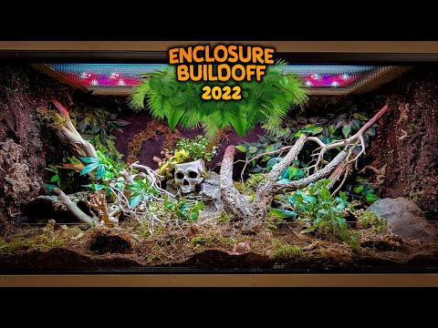I Build a MASSIVE Tarantula Communal Enclosure at Snake Discovery - YouTube
