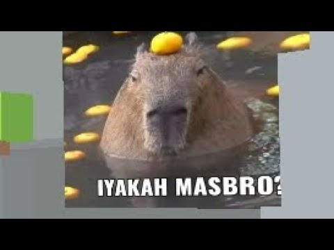 cosas nuevas de capibara simulator - YouTube