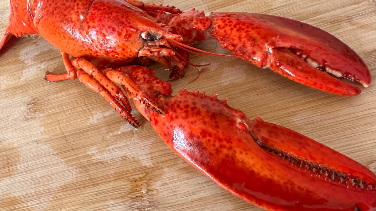 Hummer,Lobster - YouTube