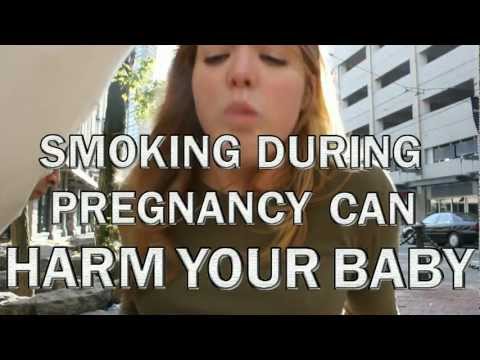 Smoking Up The Wrong Tree