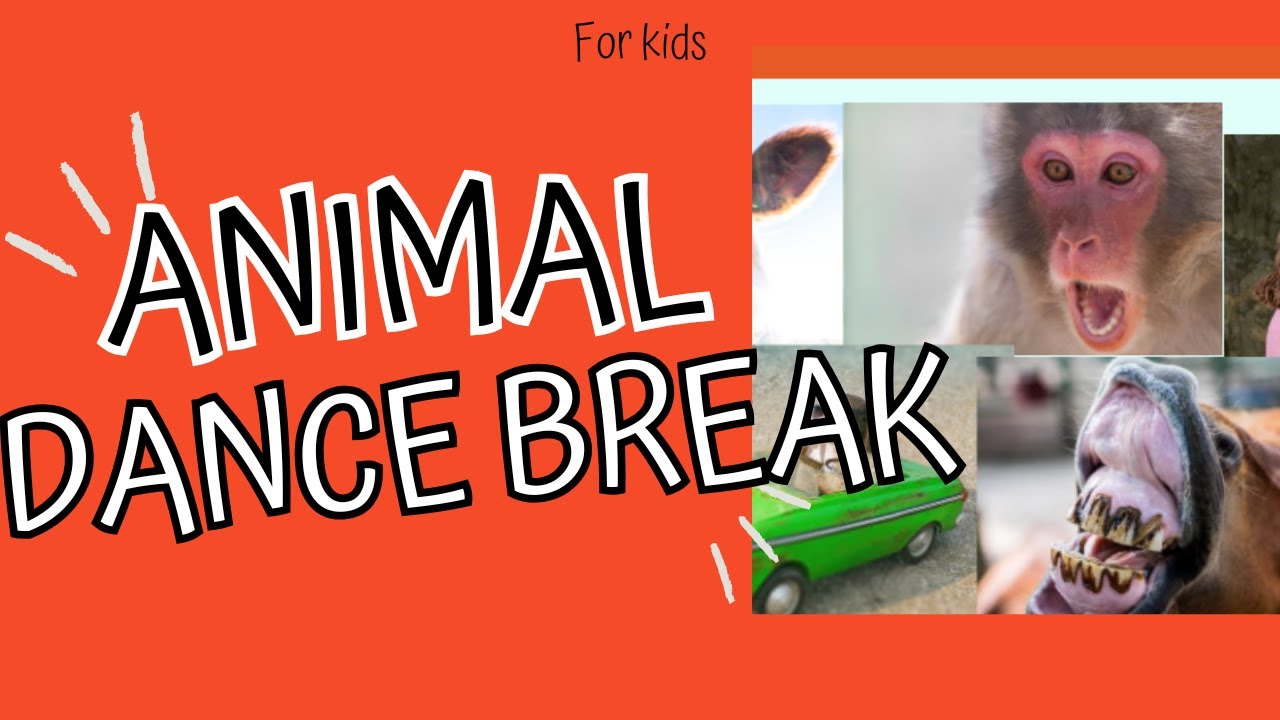 Animal Dancing | Brain Break For Kids in the Classroom - YouTube