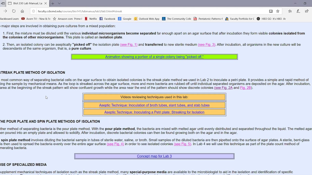 Obtaining Pure Cultures from a Mixed Population - YouTube