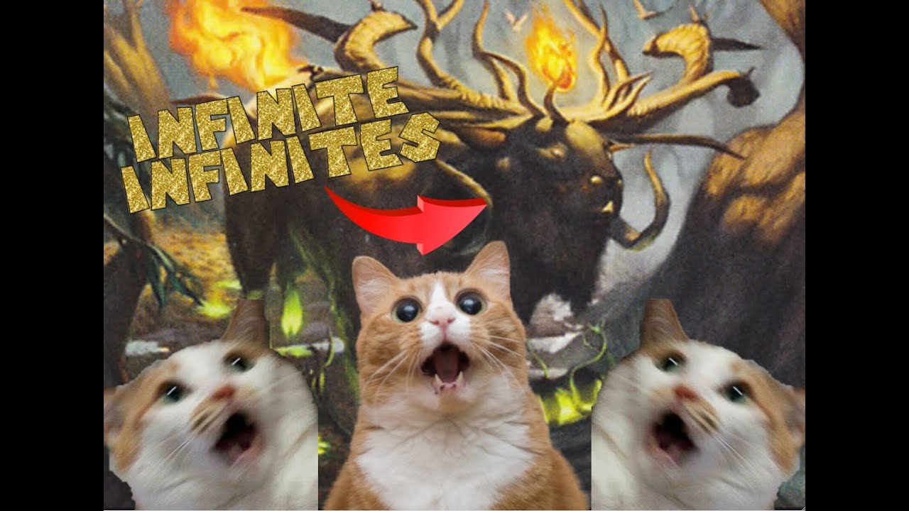 EVERY Card is a Part of an Infinite Combo - Marath, Will of the Wilds ...