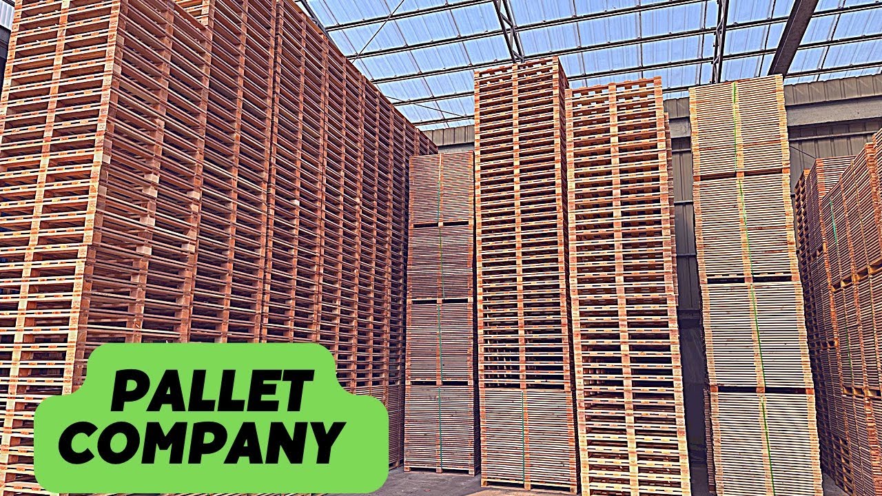 The process of mass producing wooden pallet from gaint trees.pallet ...