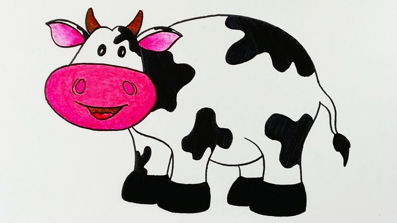 Cara menggambar sapi untuk pemula || Belajar menggambar dan mewarnai ...