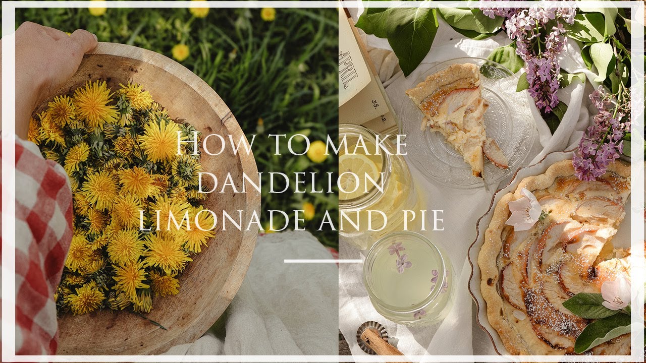 Spring Herbs in my Kitchen | Making Dandelion Lemonade | Slow Living ...