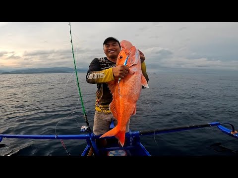 Big Red Snapper - Pina Iyak ng isdang to ang reel ko | Jigging in ...