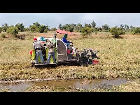 ម៉ាស៊ីនច្រូតស្រូវ Kubota DC70 #tractor #machine #kubota - YouTube