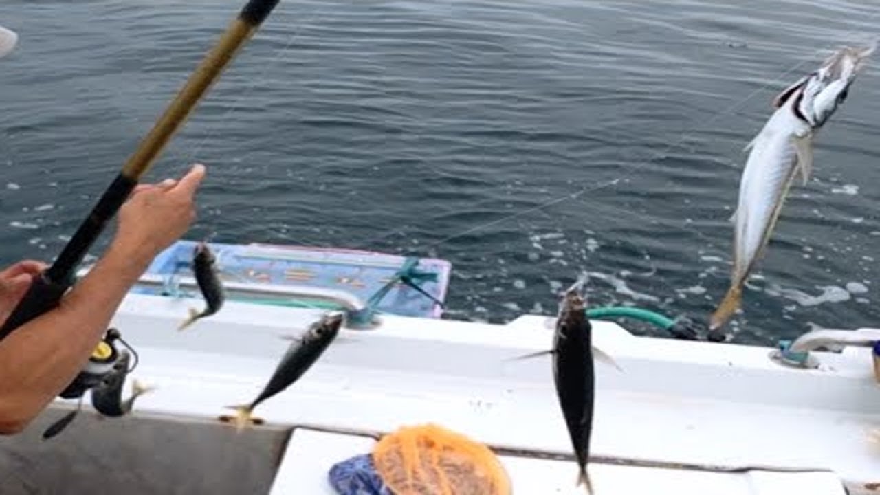 amazing Fishing Fun On The River - caught a lot of live fish - YouTube