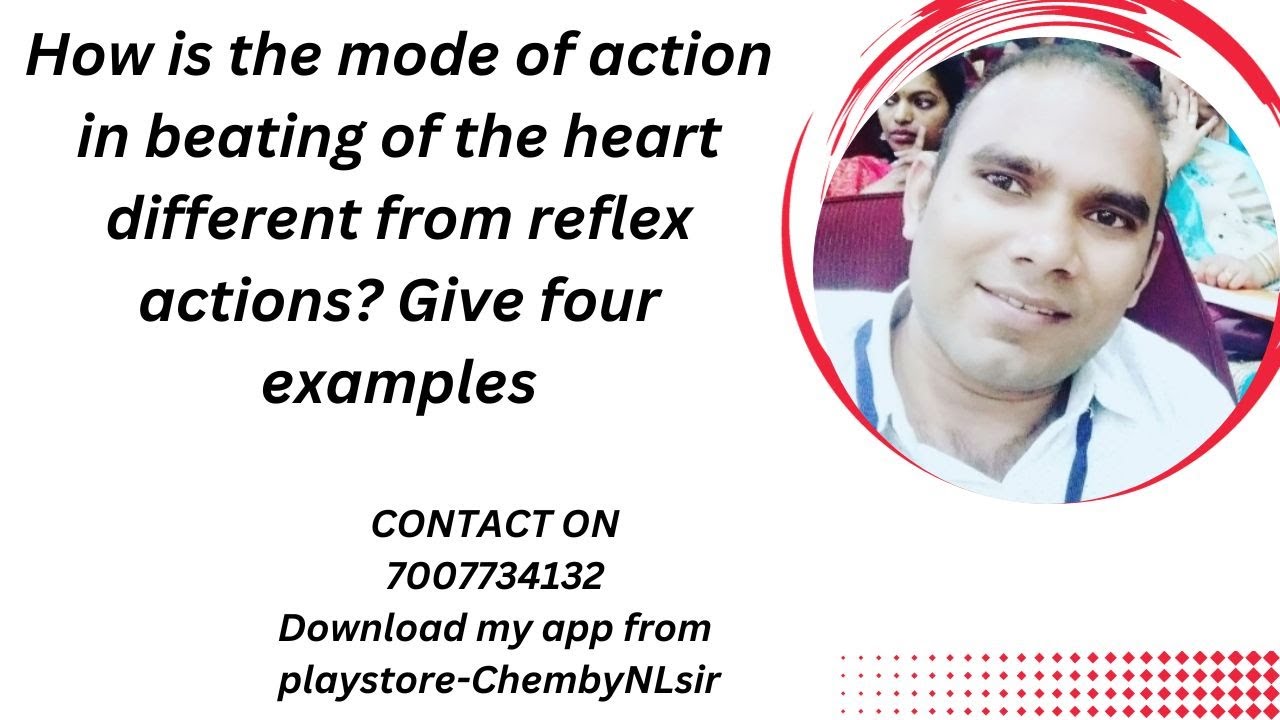 How is the mode of action in beating of the heart different from reflex ...