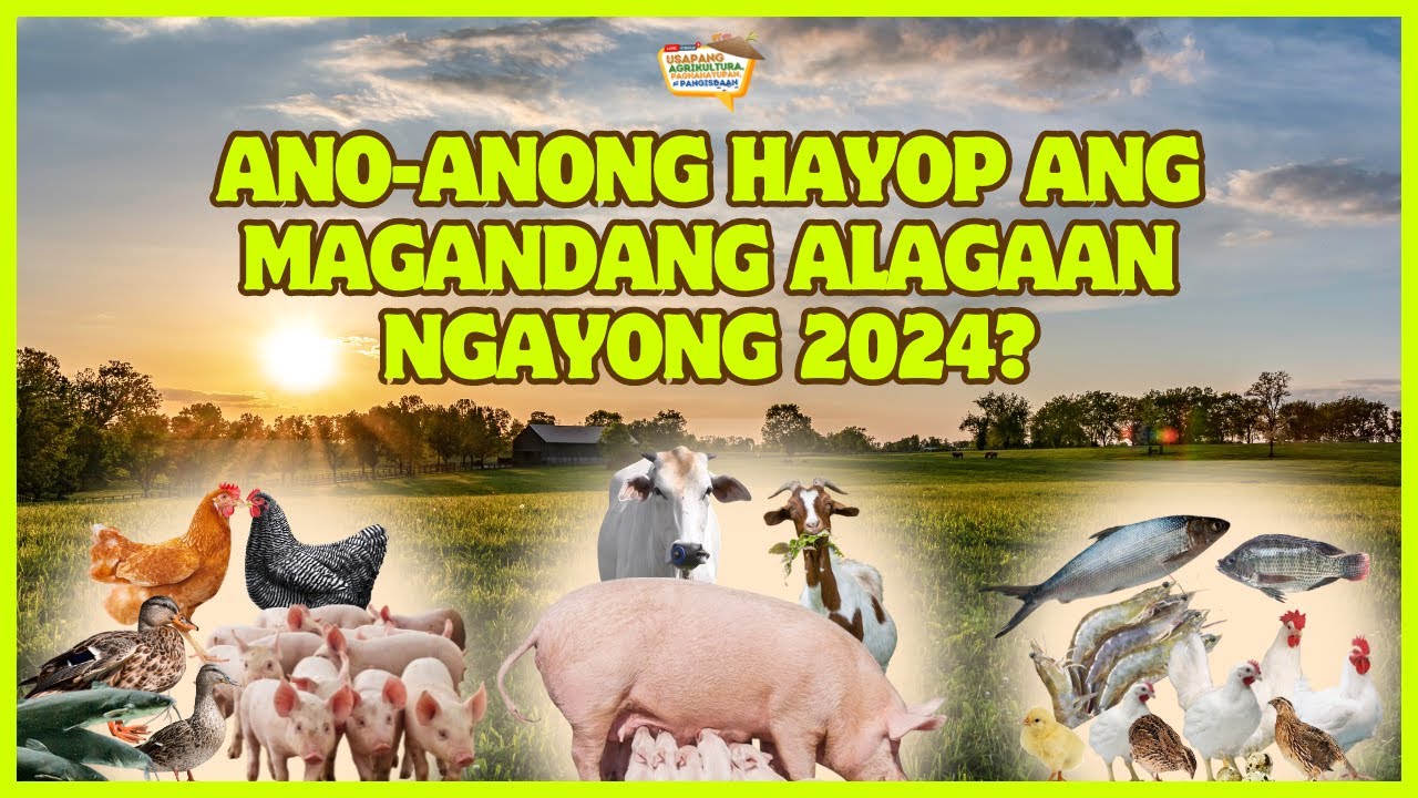 Ano-Anong Hayop ang Magandang Alagaan Ngayong 2024? - YouTube
