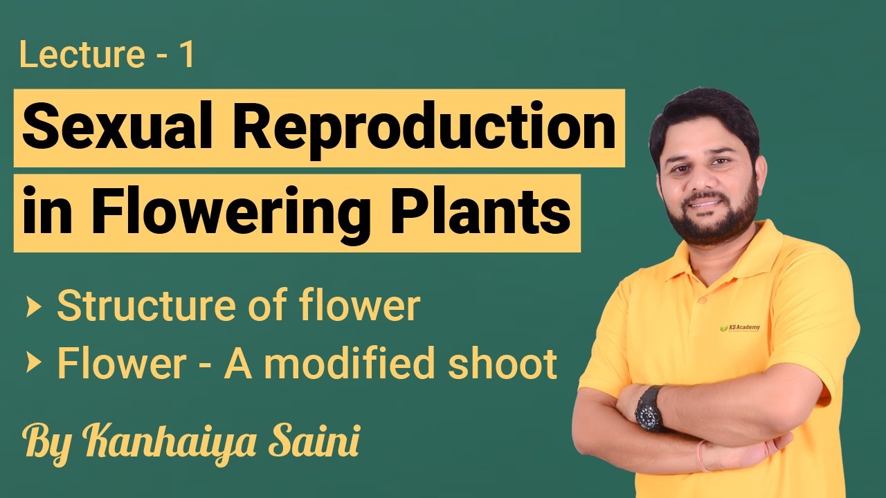 L-1: Introduction to sexual reproduction in flowering plants, biology ...