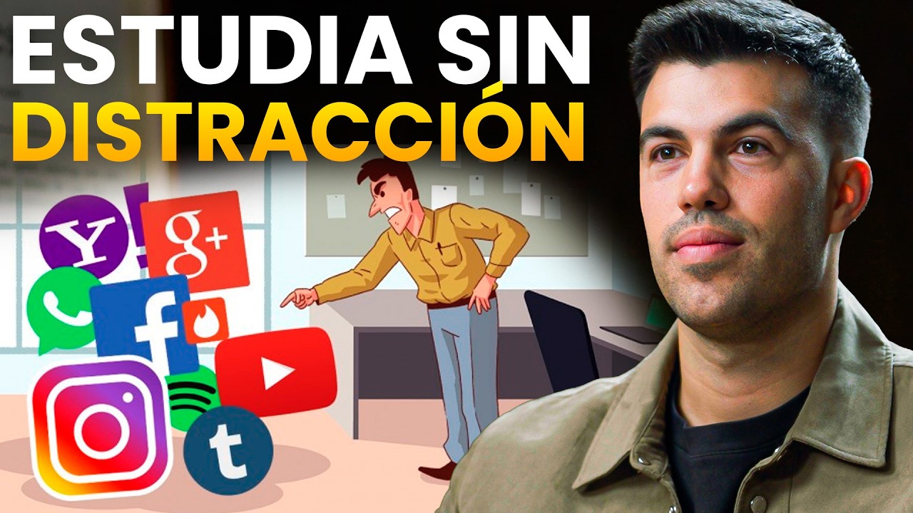 Cómo Provocar el estado de Flow del Cerebro para Aumentar tus ...