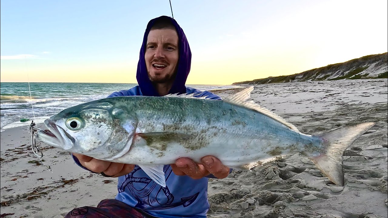 Beach Fishing Western Australia for Aggressive Tailor - YouTube