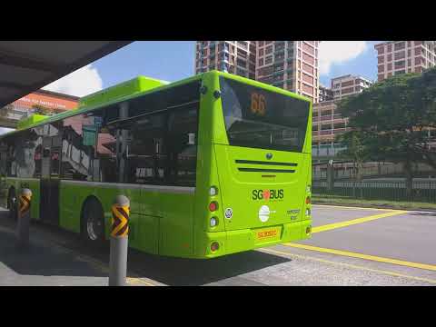 Tower Transit Singapore: [SG3092C] On Service 66 Departing Block 311 ...