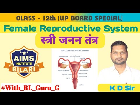 Female Reproductive System || स्त्री जनन तंत्र || 12th Class || NCERT ...