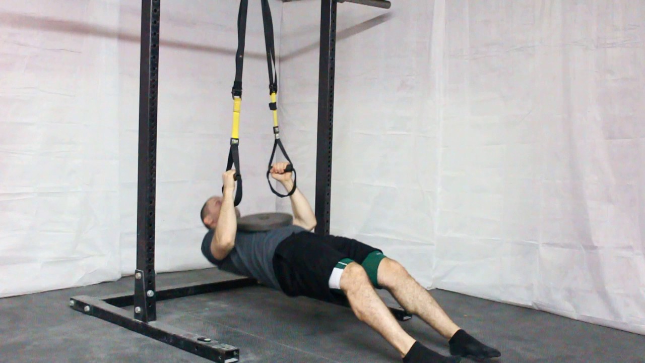 Weighted Rotational Suspension Inverted Row - An Exercise Demo by ...