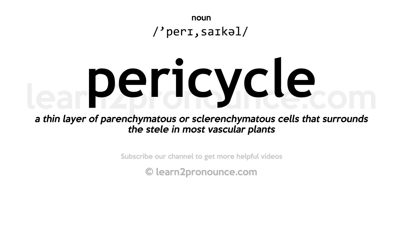 Pronunciation of Pericycle | Definition of Pericycle - YouTube