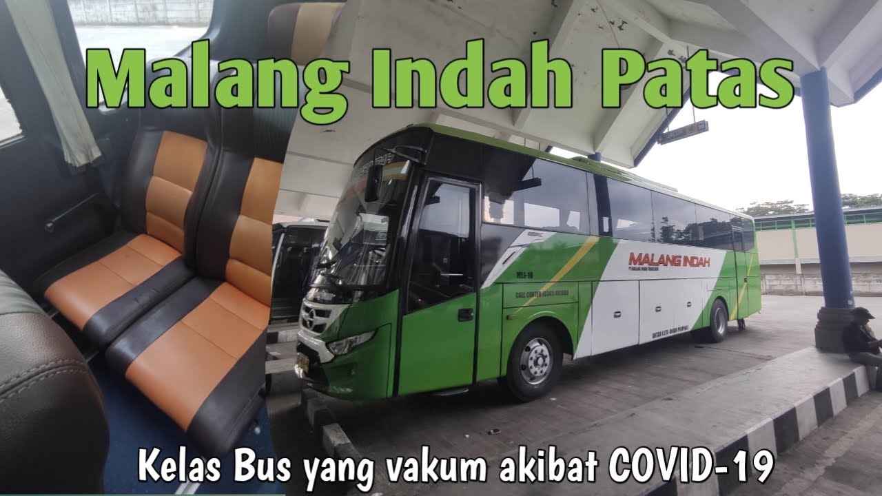 Review Bus Malang Indah Terbaru kelas Patas trayek Denpasar Malang ...